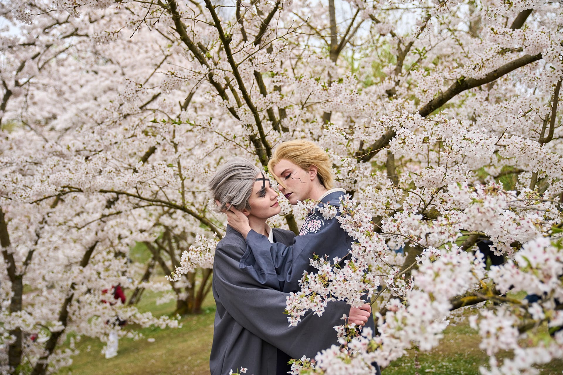 Cherry Blossom Festival in Berlin attracts many tourists this spring ...