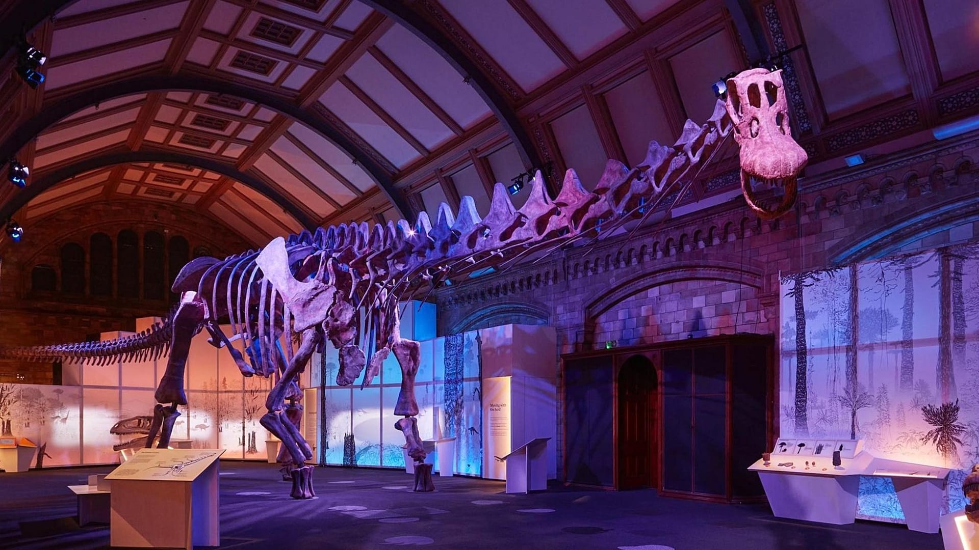 Video. World’s largest dinosaur goes on display in UK cathedral | Euronews