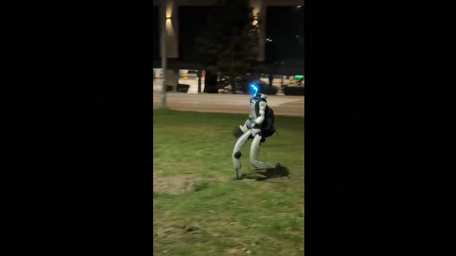 Video. Humanoid robot chases wild boars in the Polish capital Warsaw ...
