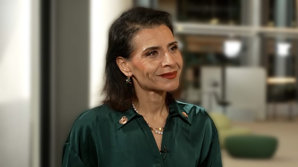 Video. Violence against women 'has evolved in Europe', says MEP Al ...