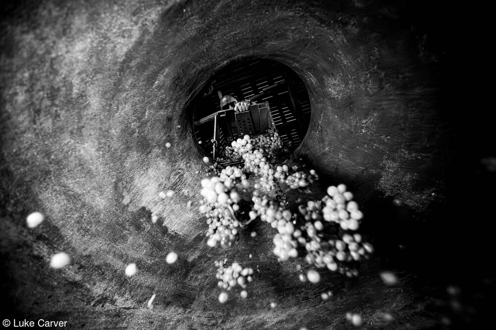 'Moved to tears': Winners of the 2026 World Food Photography Awards ...