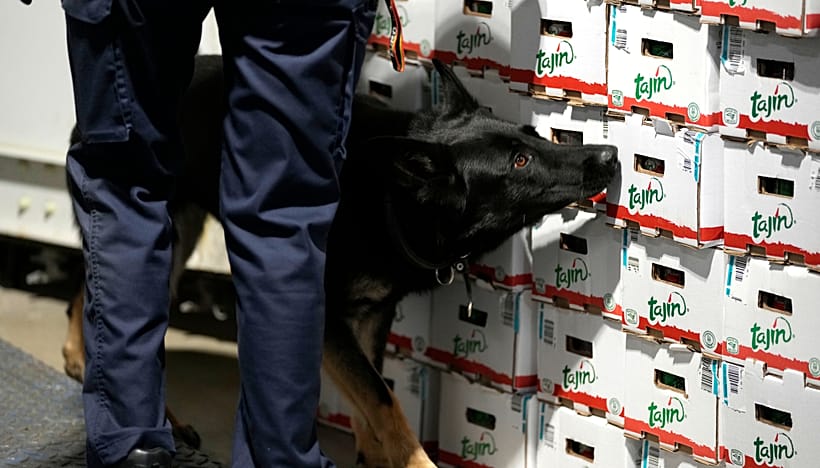 Video. EU warns of rising risks as Europe drug market grows complex ...