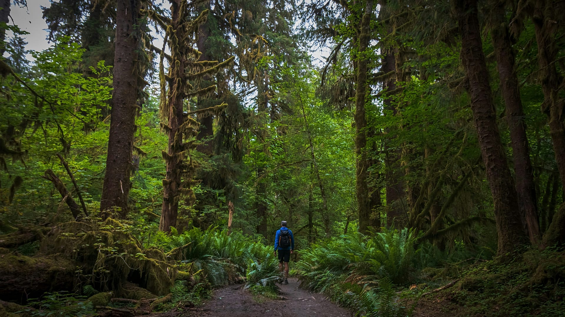 These underrated natural wonders are the world’s best-kept secrets ...