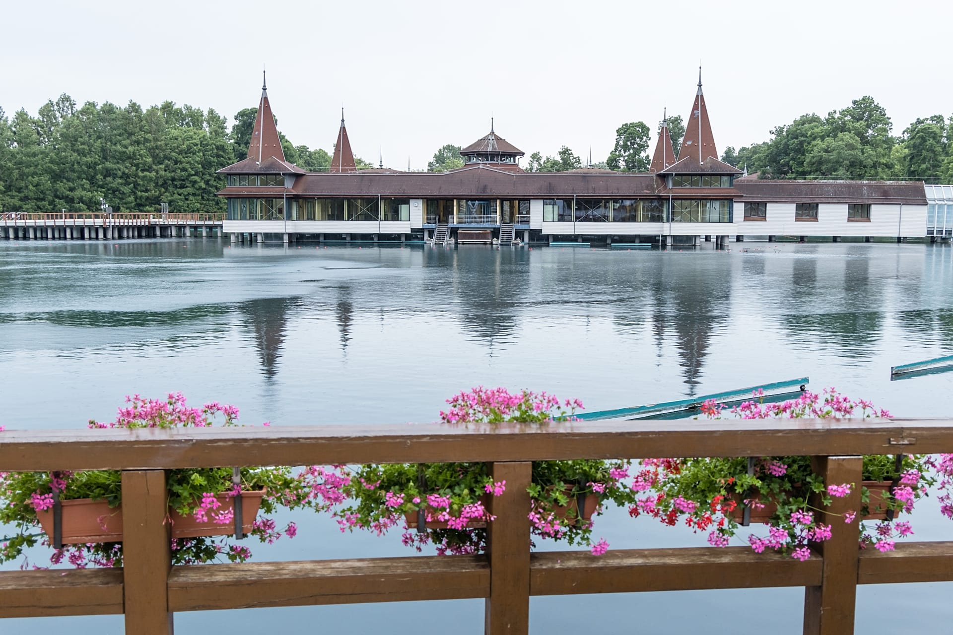 From oak forests to steppe lakes: Central Europe's five best summer ...